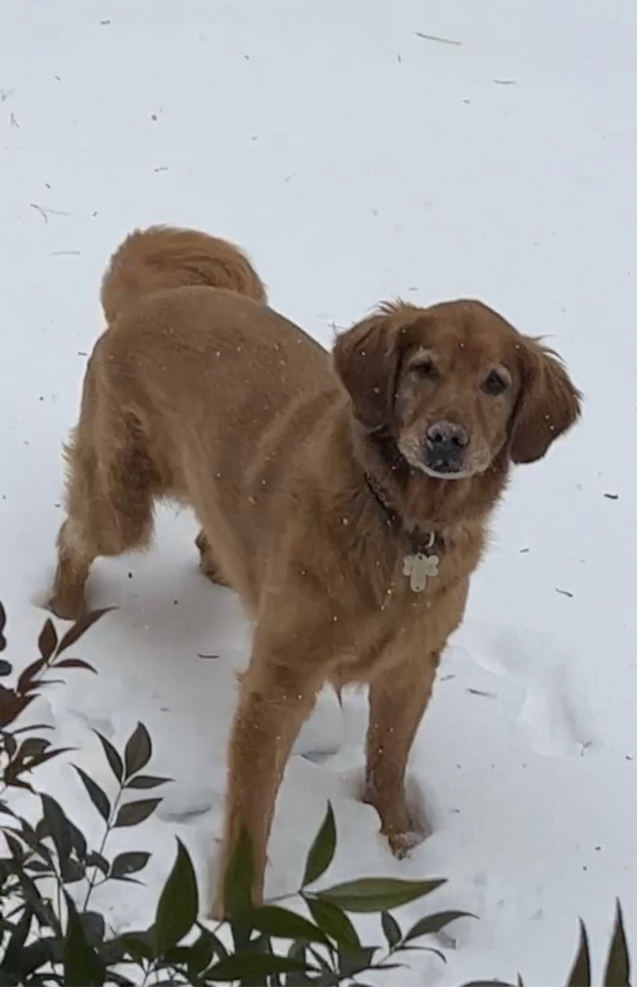 Dr. M’s Women and Children First Podcast #16 – Dr. George Munoz – Covid ...